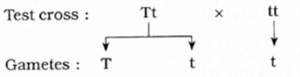 Notes-Class-12-Biology-Chapter-3-Inheritance and Variations-Maharashtra ...
