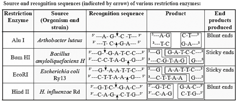 Notes-Part-1-Class-12-Biology-Chapter-12-Biotechnology-Maharashtra ...