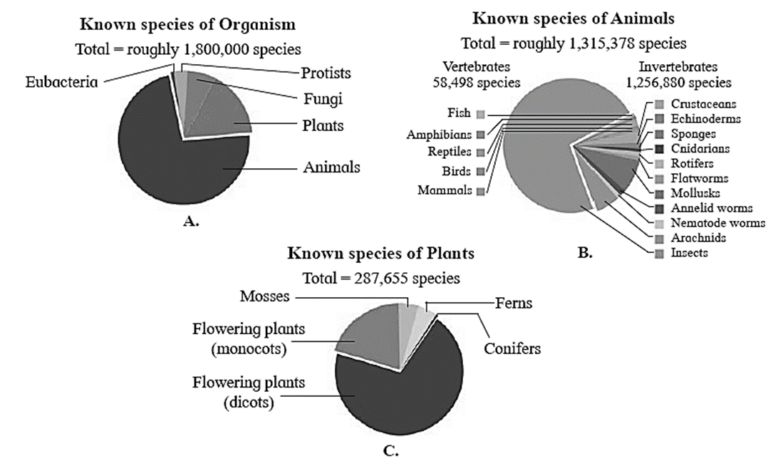 Notes-Part-1-Class-12-Biology-Chapter-15-Biodiversity, Conservation and ...