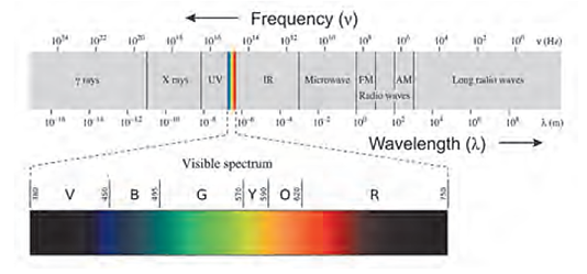 Notes-Class-11-Science-Physics-Chapter-13-Electromagnetic Waves and ...