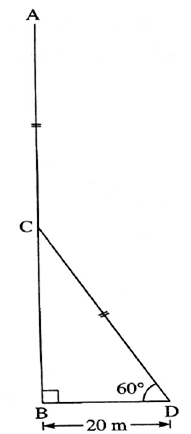 Solutions-Practice Set-Class-10-Mathematics-2-Chapter-6-Trigonometry ...