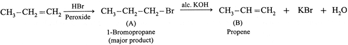 Solutions-Class-12-Chemistry-Chapter-10-Halogen Derivatives-Maharashtra ...