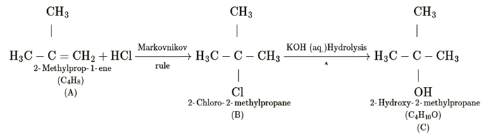 Solutions-Class-12-Chemistry-Chapter-10-Halogen Derivatives-Maharashtra ...
