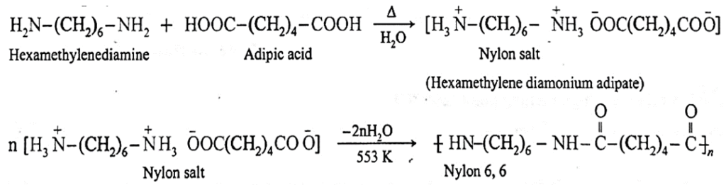 Solutions-Class-12-Chemistry-Chapter-15-Introduction to Polymer ...